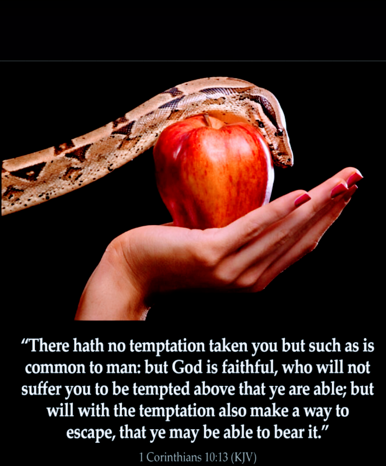 There hath no temptation taken you but such as is common to man: but ...
