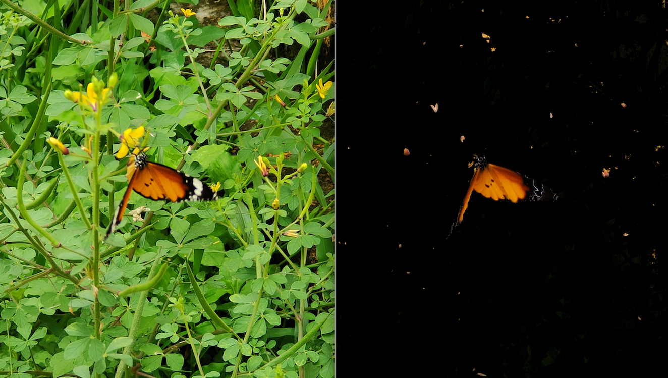 5 Useful Python code snippets for Open CV- Image Processing | by Swathy ...