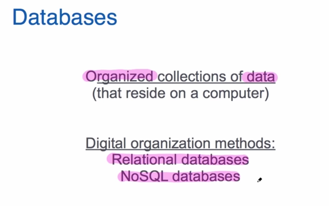 Database Basics. Basics and Normalization | by William | Medium