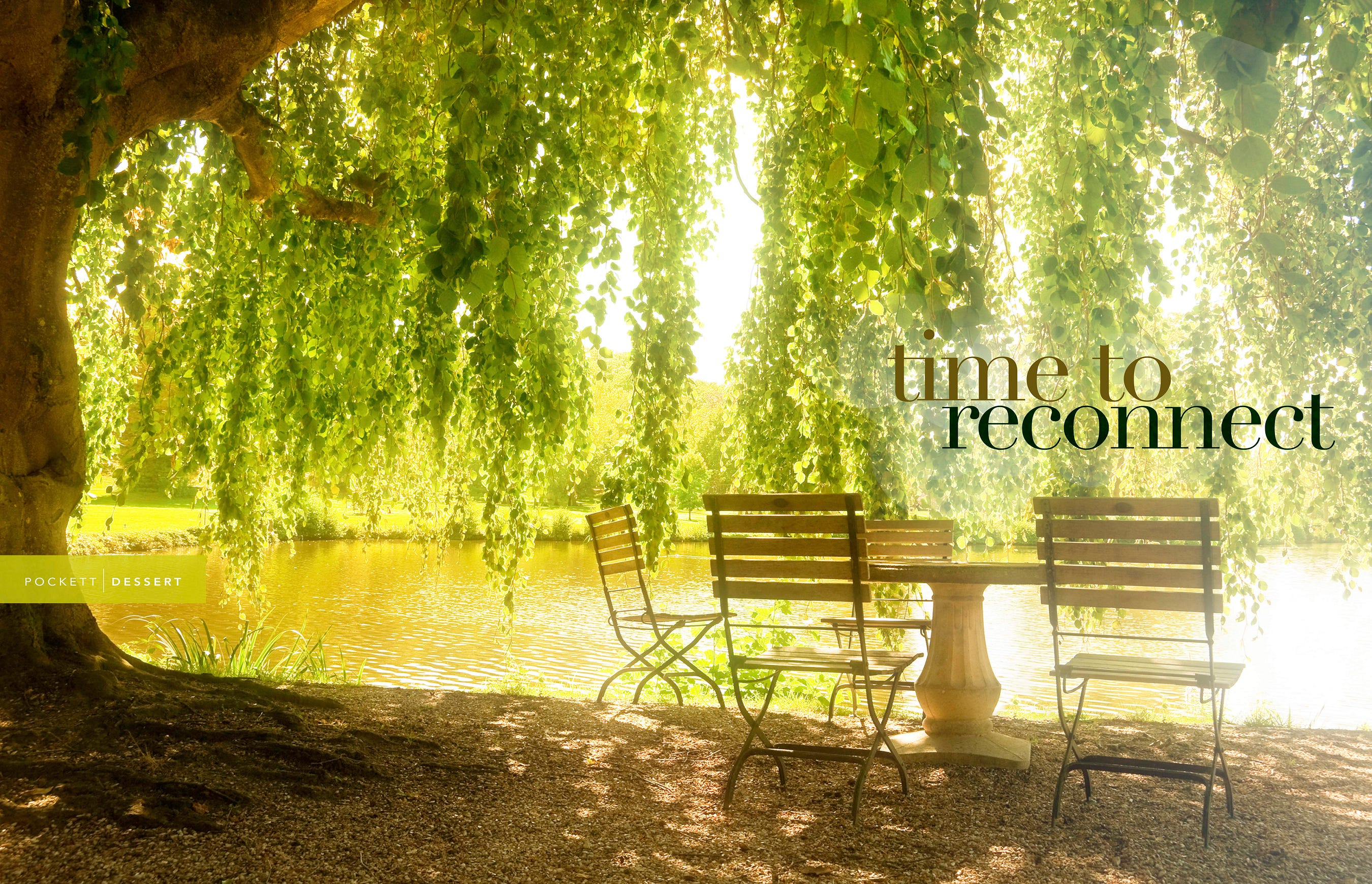It’s Time to Reconnect with the World | by pockett dessert | The Ascent