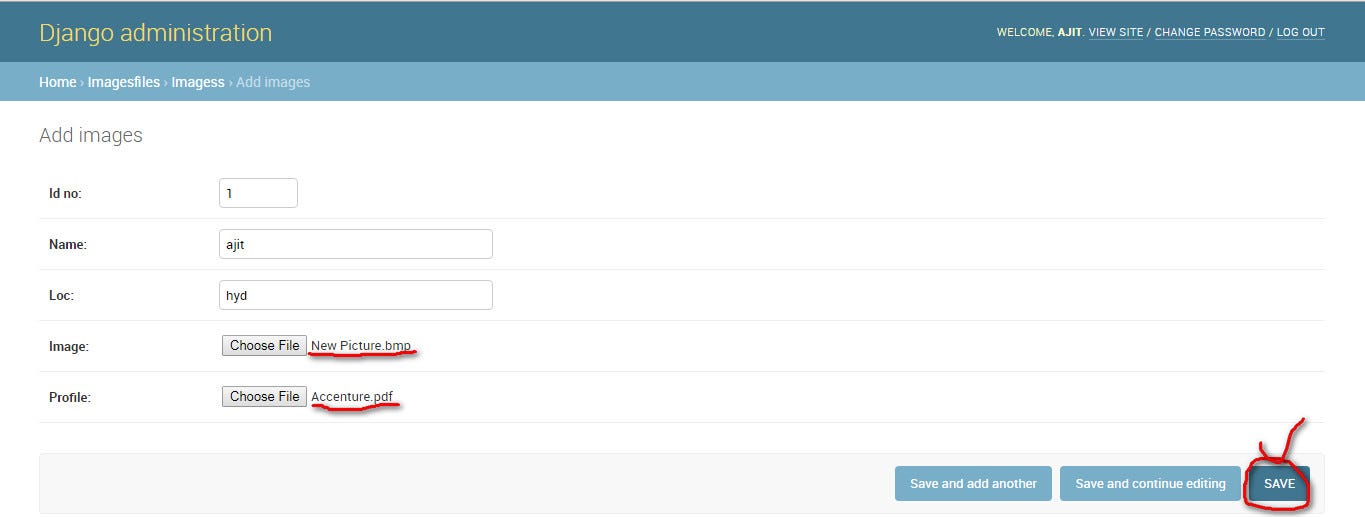 django insert into table