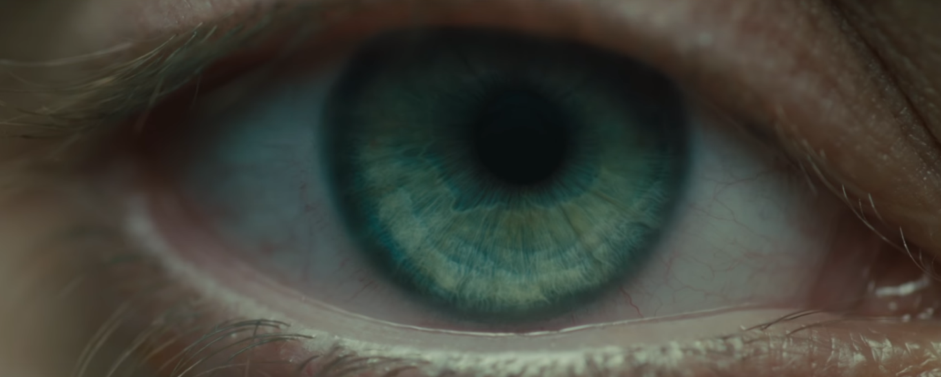 Blade Runner 2049: Observações. Analisando algumas caraterísticas da ...