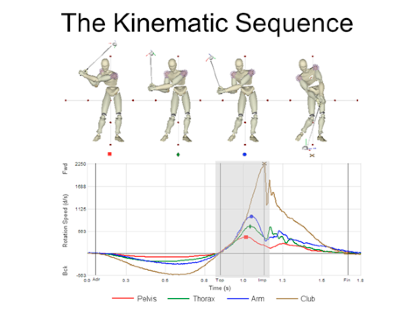 Understanding the Kinematic Sequence | by Top Performance Golf | Medium