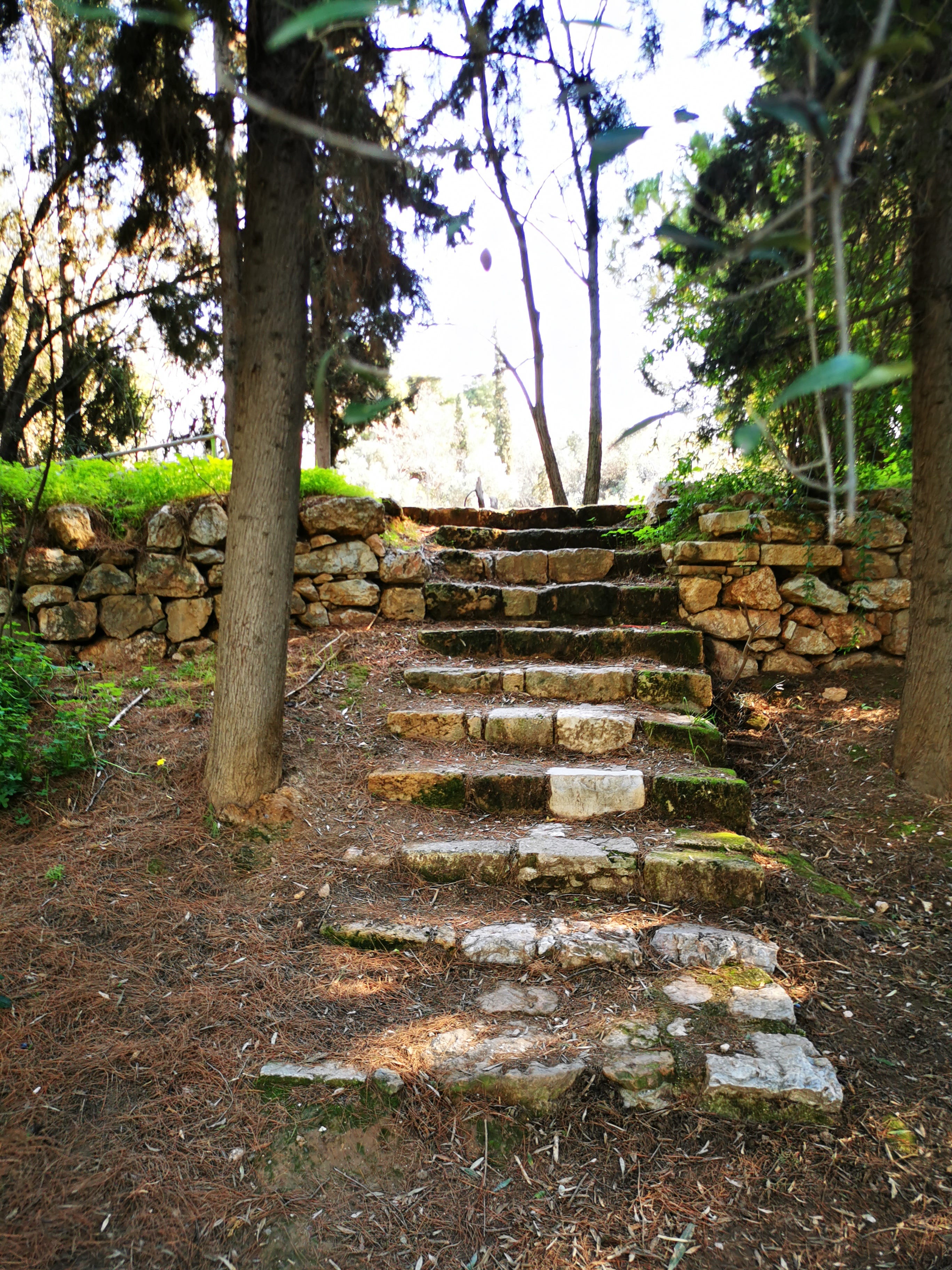Rebuilding Plato’s Academy - The Good Men Project