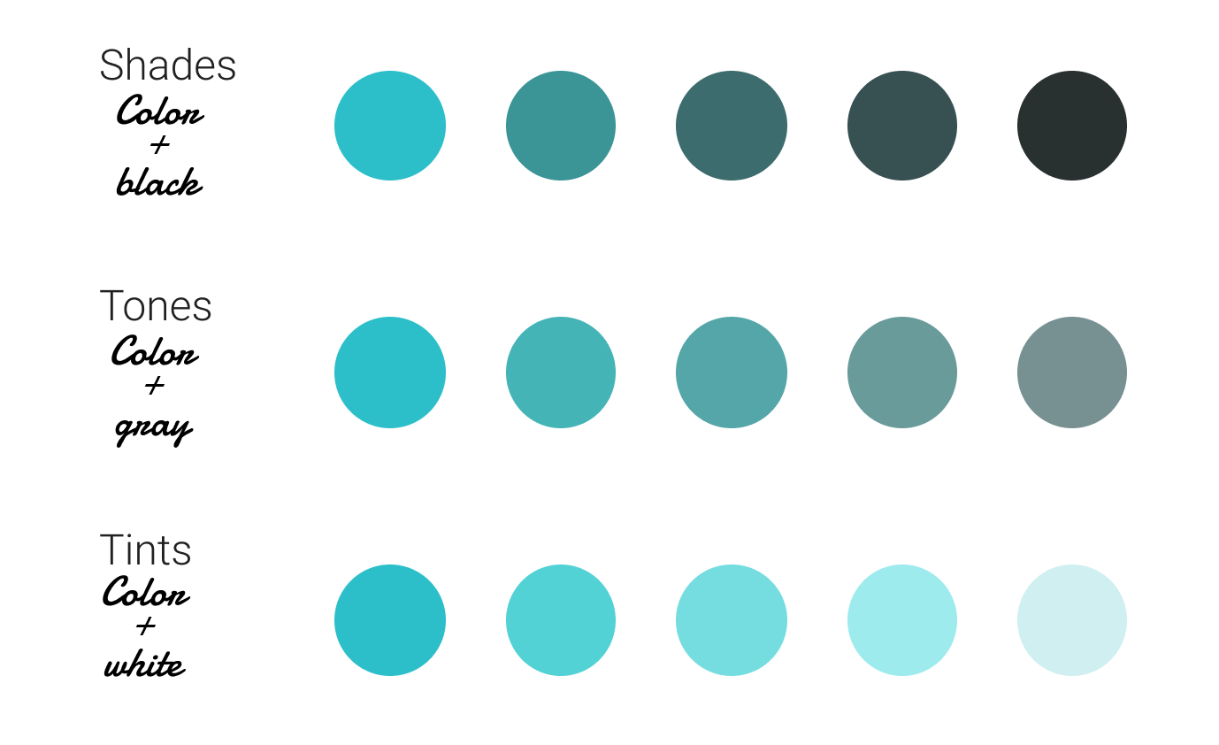 Let’s talk Color. The key to color confidence. | by Anusha Malla ...