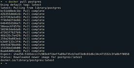 Chạy Postgresql trong Docker container | TopDev