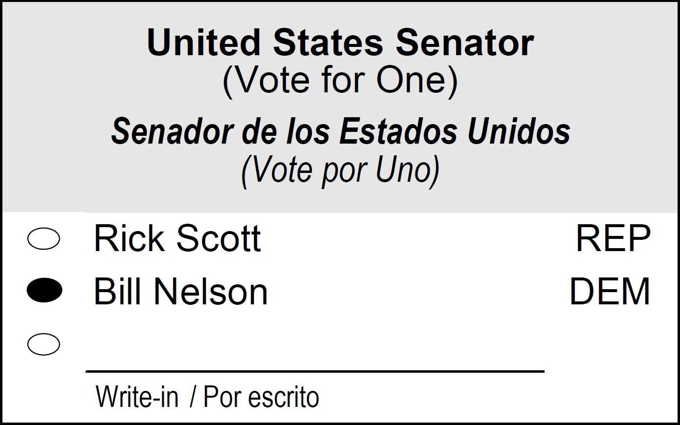 2018 General Election Voter Guide for Seminole County, FL (Unofficial ...