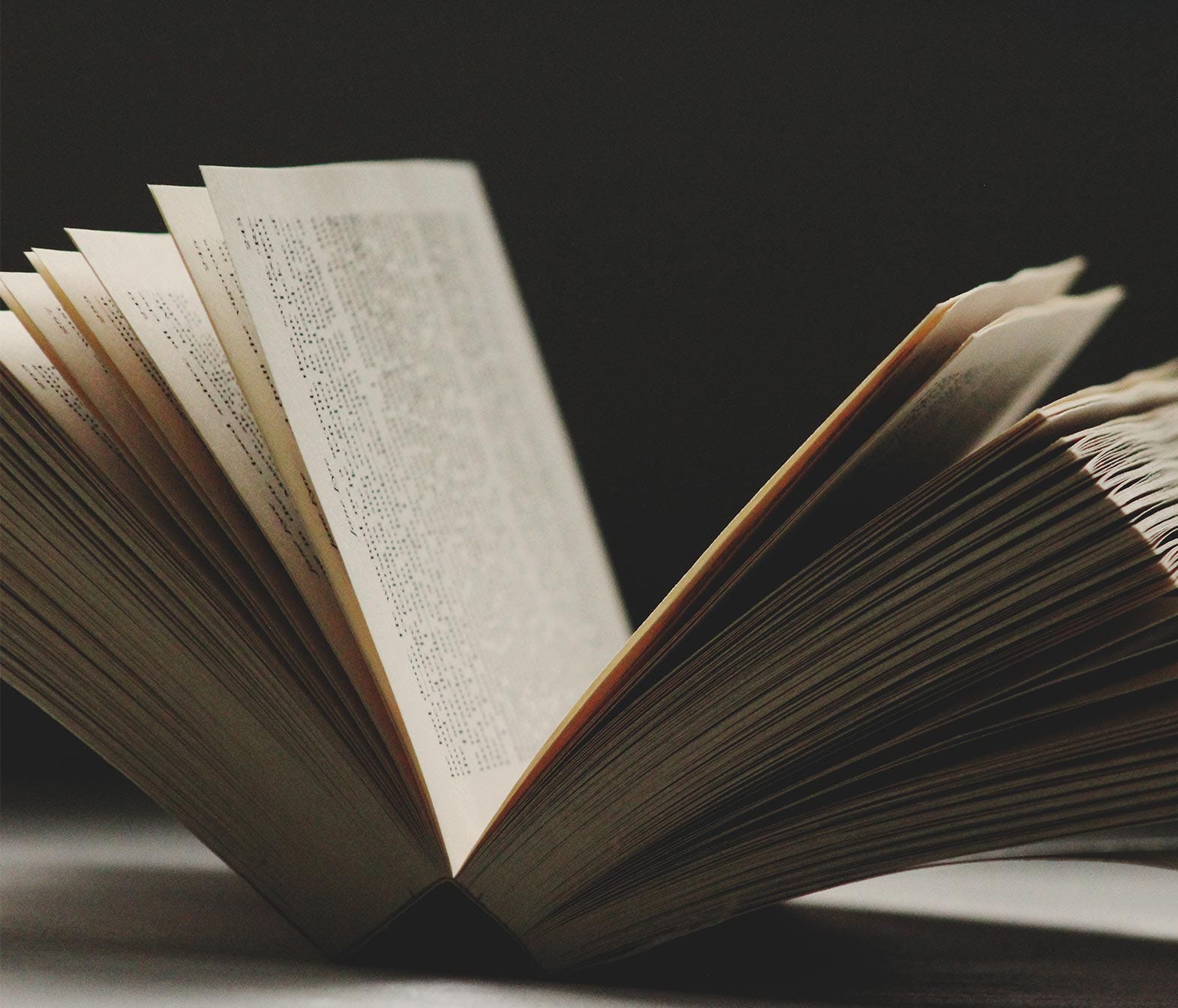 The most interesting book. “You don’t have to burn books to… | by Eliel ...