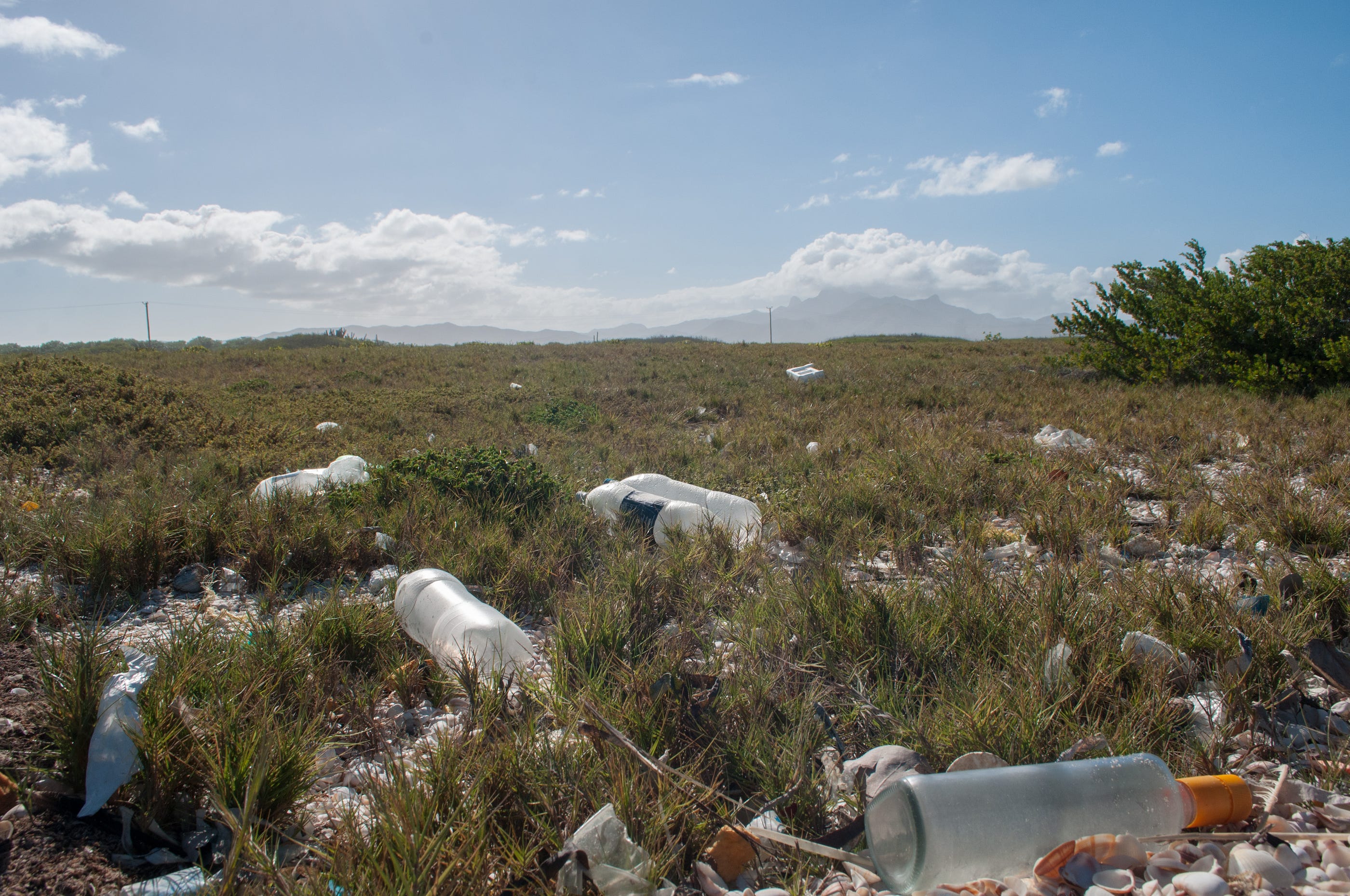 Dirty parks. You don’t like that, right? There is… | by Samahir ...