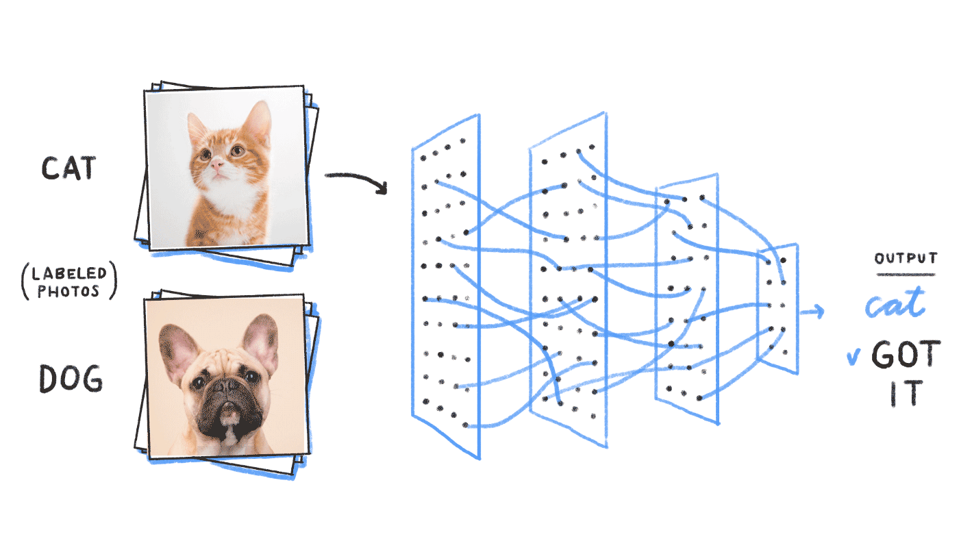 The Nuts and Bolts of Deep Learning Algorithms for Object Detection ...