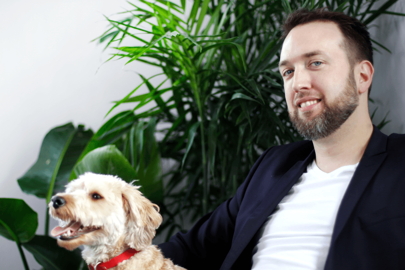 Mindfulness for a new age with Ipnos CEO Simon Alex Bérubé | by Jacob ...