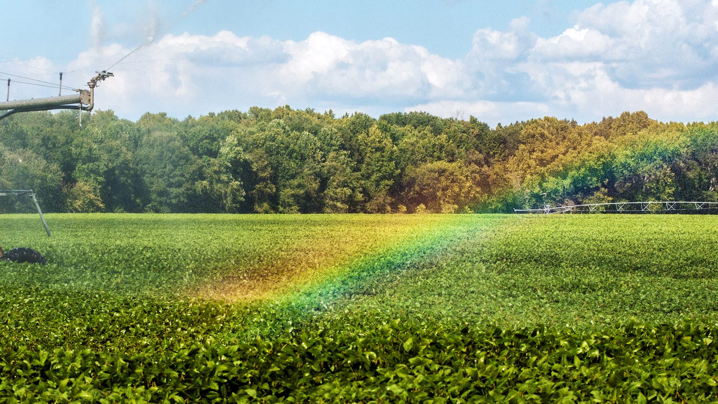 Caring for our Land, Air and Water: Preserving Precious Natural ...