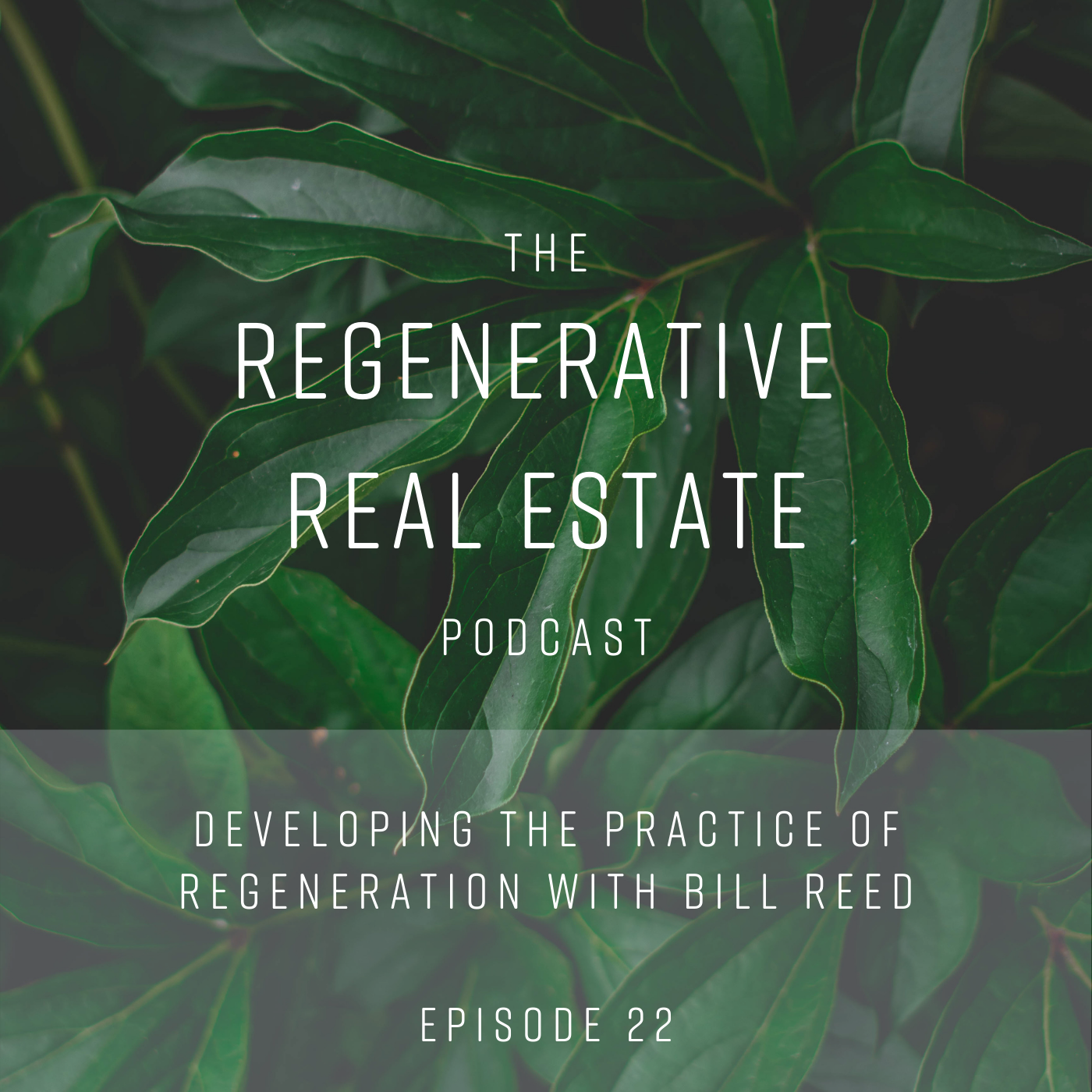 Developing the practice of regeneration with Bill Reed - Regenerative ...