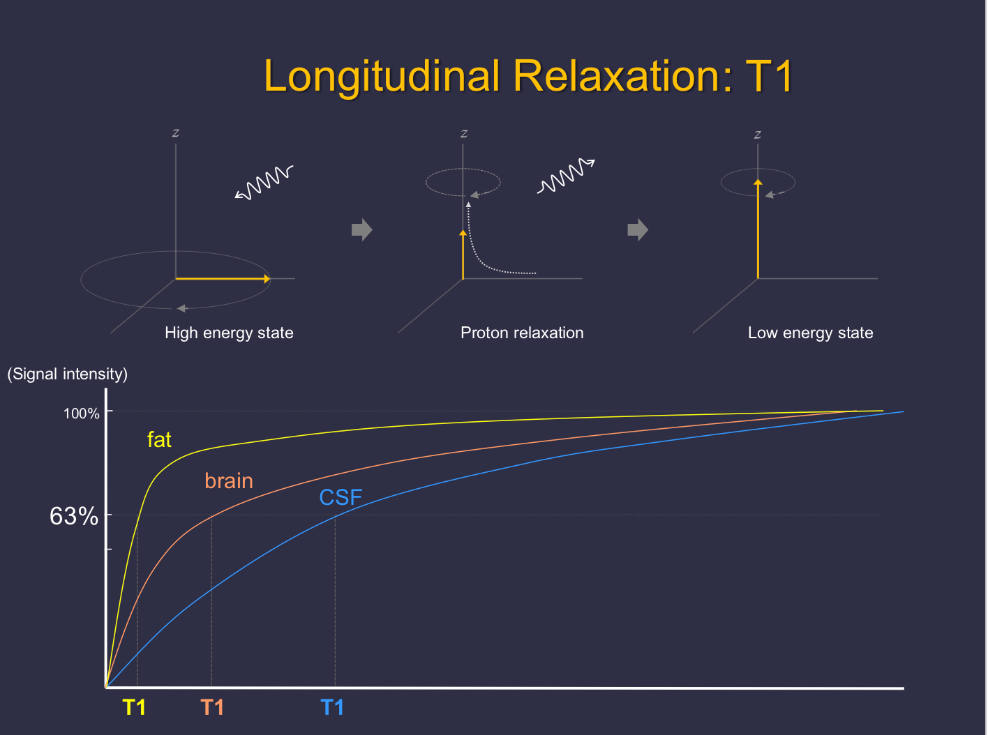 Physics for the deep learning computer vision expert | by Judy Gichoya ...