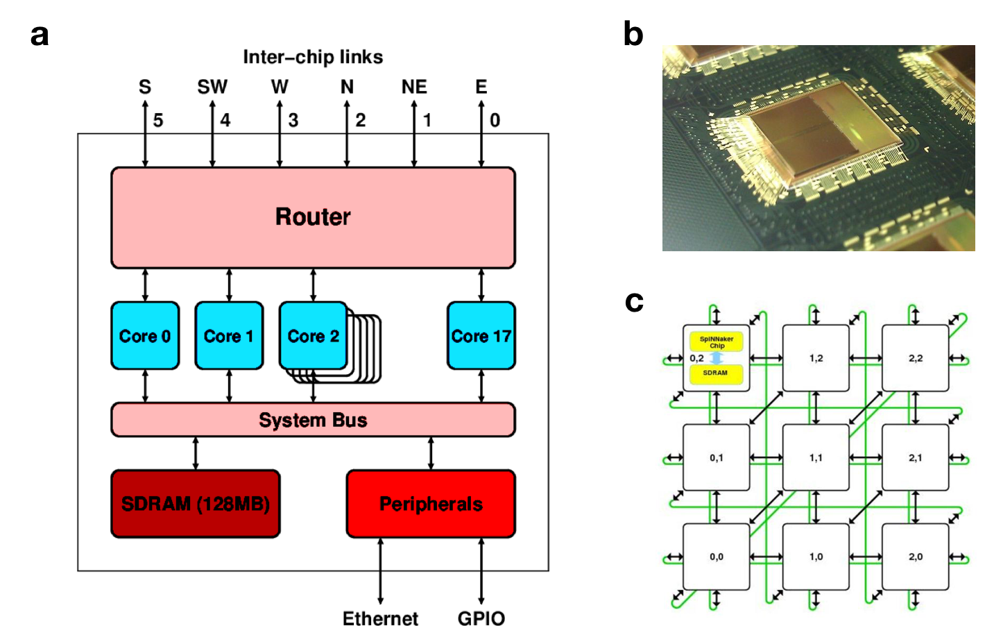 Neuromorphic computing: The tech behind the hype - Digital Catapult ...