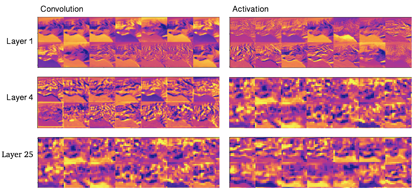 How Convolution Neural Networks interpret images | by Aseem Kashyap ...
