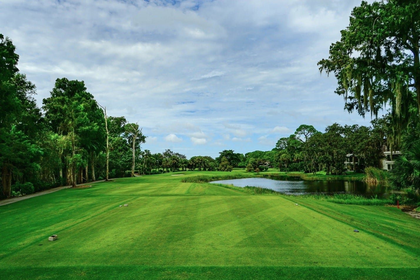 Urban Ecology: Golf and Wildlife. By Kathy Worley | Conservancy… | by ...