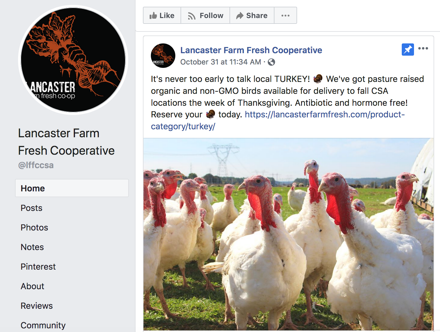 Social Media Marketing for A Small Farm — Chapter 6: A Picture of a ...