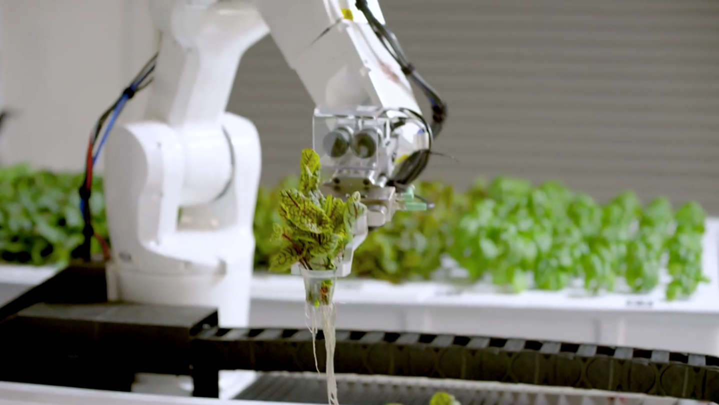 New Autonomous Farm Wants to Produce Food Without Human Workers | by ...