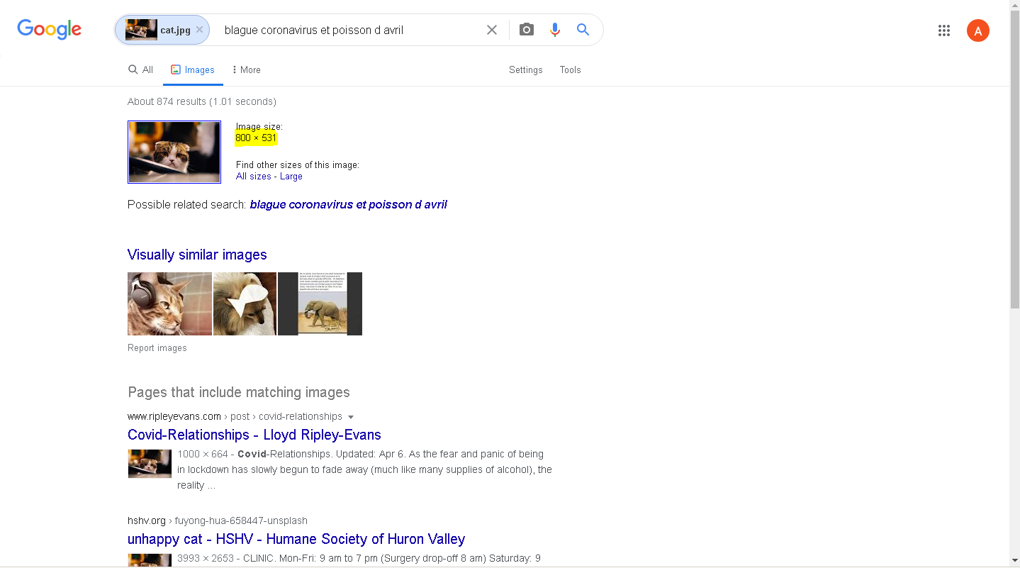 How to Search Google Like a Focused Professional | by Abdullah AlShawaf ...