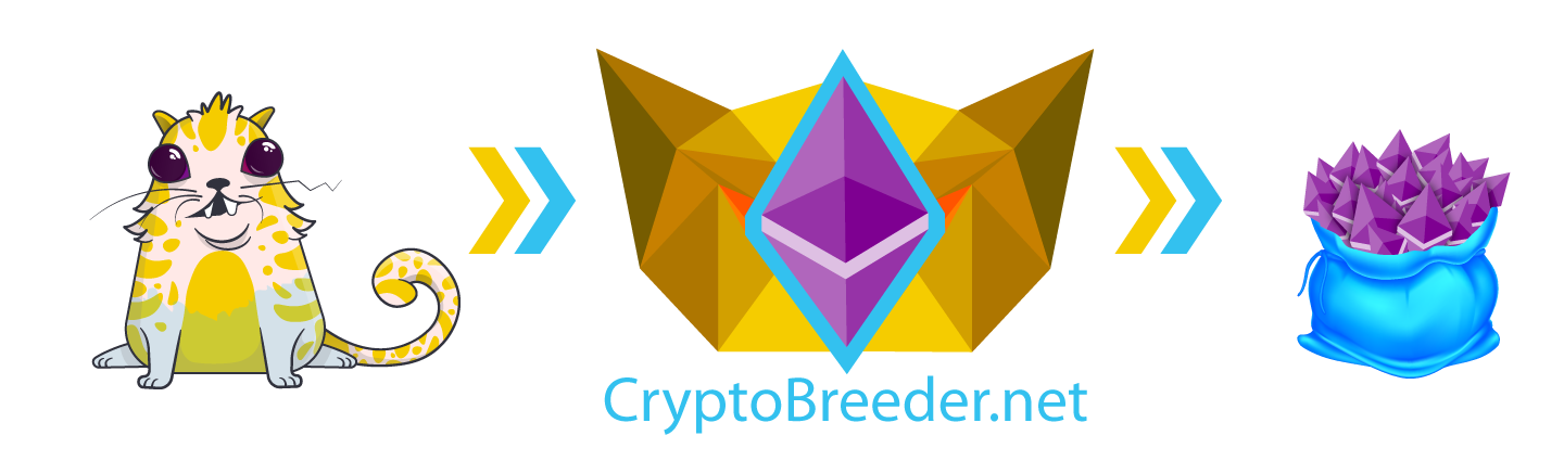 What’s in the genes of your CryptoKitties? | by Cryptobreeder.net | Medium