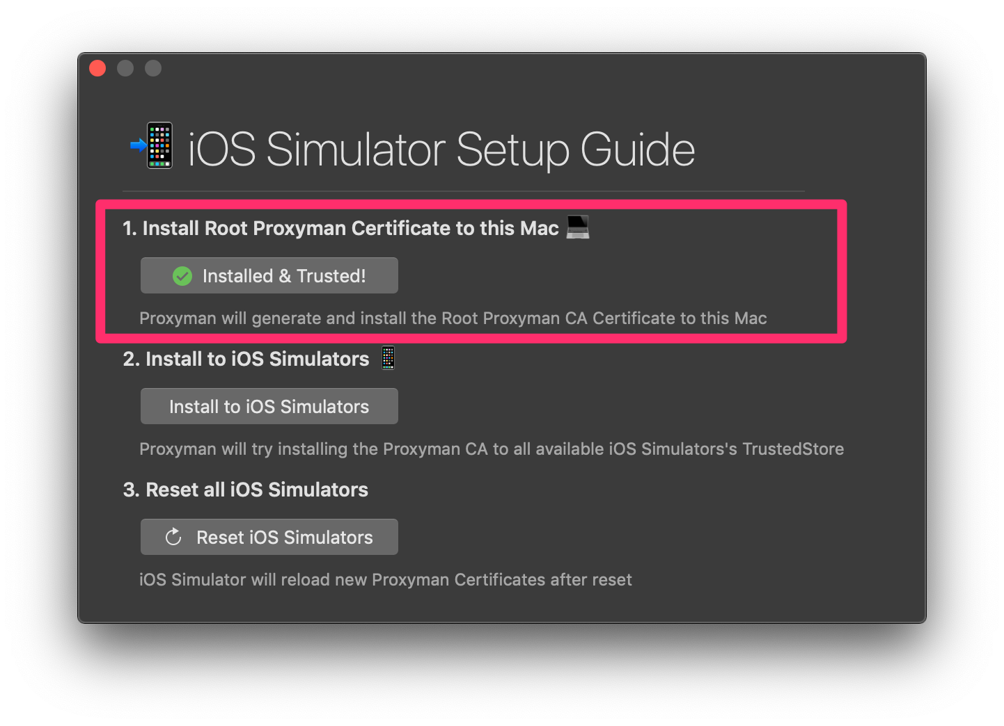 Debugging on iOS Simulator with Proxyman | by Renée | Medium