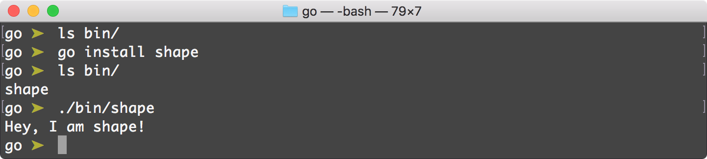 Getting started with Go. Installing Go on your system, setting… | by ...