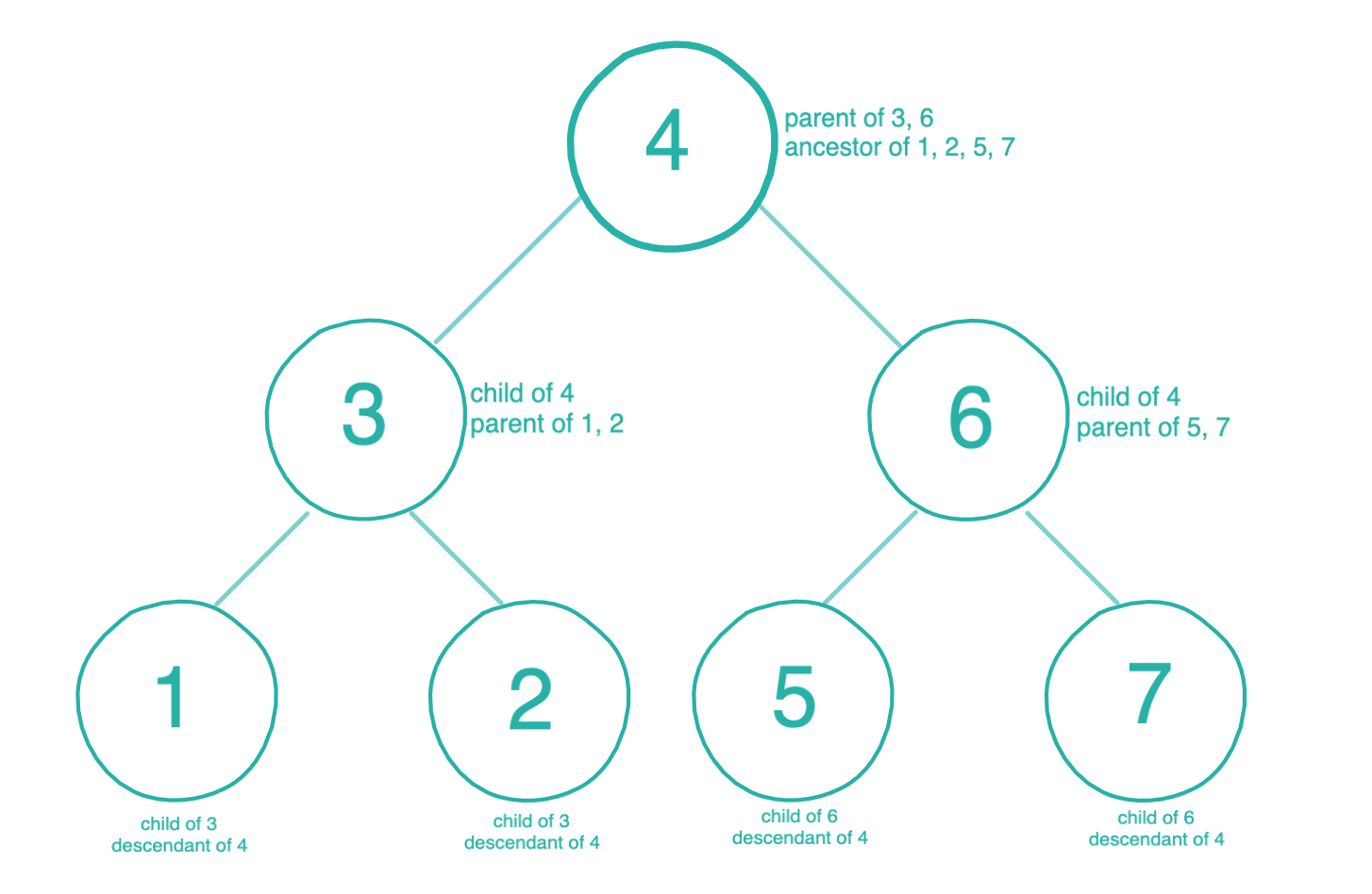 Exploring Binary Trees. Trees are a popular abstract data… | by Tori Murray | The Startup | Medium