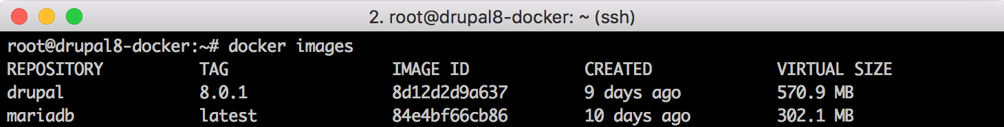 6 Reasons To Deploy Drupal 8 With Docker By Chingis Wodby Blog