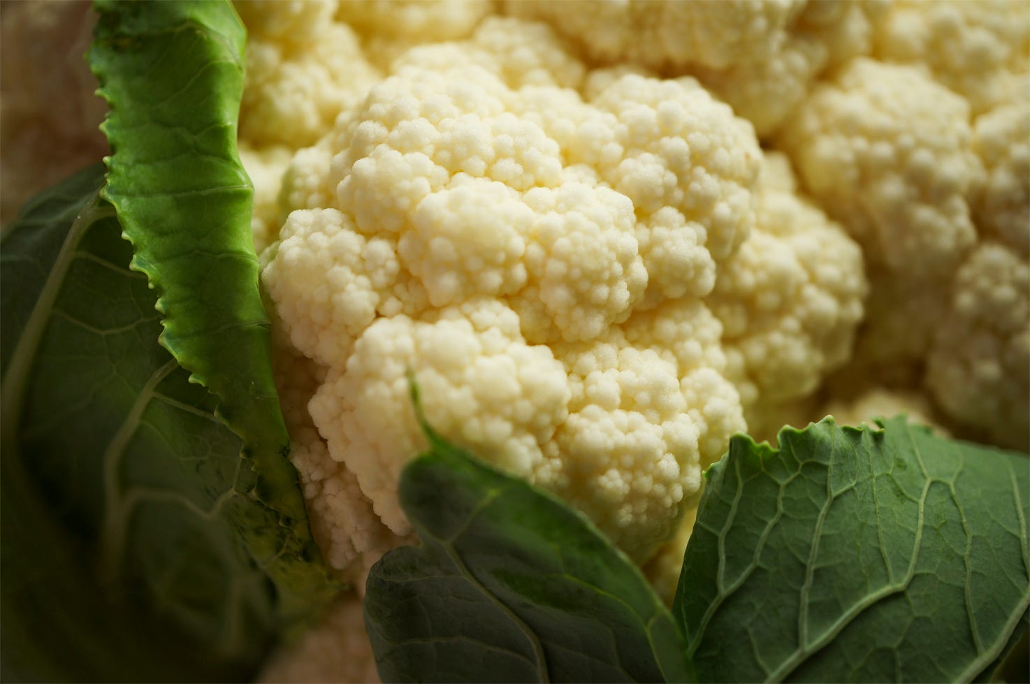 Coliflor horneada con queso y hojas | by Nino Arani | Mentiras Gourmet ...