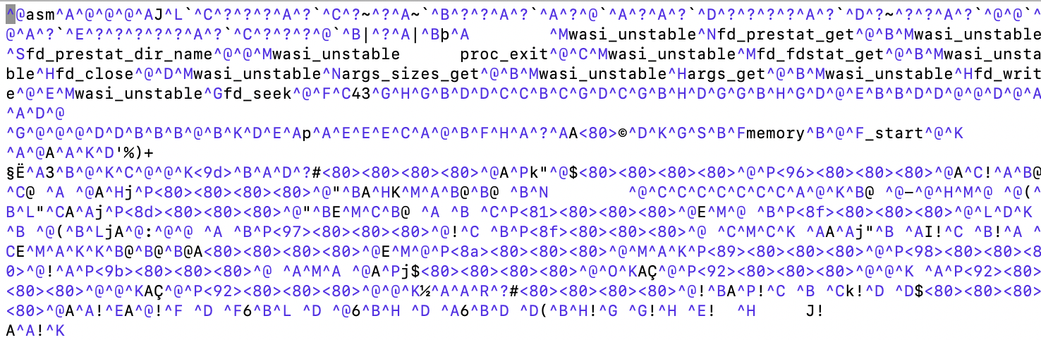 The future of Web Assembly (WASM): the hardware-execution revolution ...