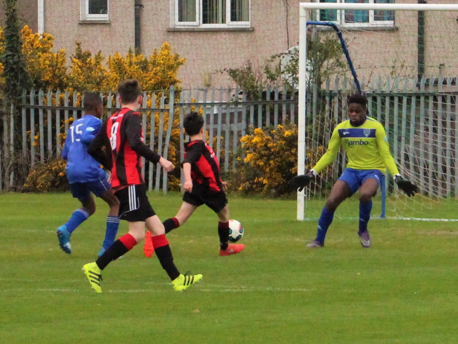 U14 | Bellurgan United set up Super Sunday title showdown with Ardee ...