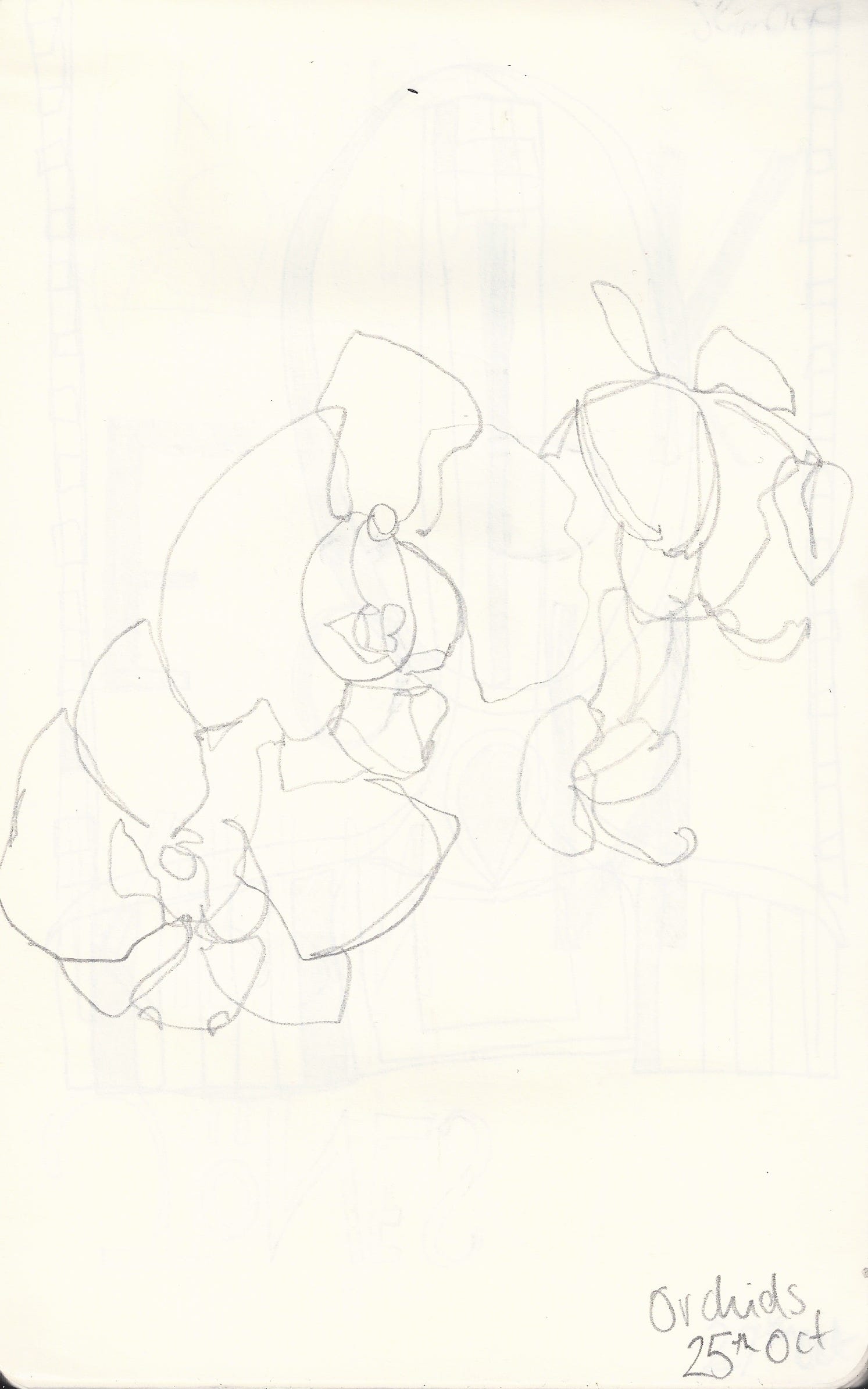 A Drawing A Day October | by Agnes Jones | Medium