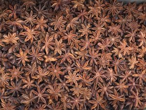 Star Aniseed Autumn Crop. Star Aniseed Autumn Crop | by ECM VN | Medium