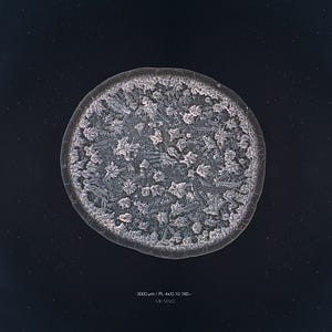 Photographs that reveal the true beauty of tears. | by Maurice Mikkers ...