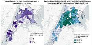 Mapping Food Deserts (and Swamps) in Manhattan and the Bronx | by ...