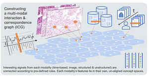 A Voyage through Graph Machine Learning Universe: Motivation, Applications, Datasets, Libraries ...
