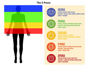 “Prana” or Life Energy Knows Precisely When to Enter and Exit the Body ...