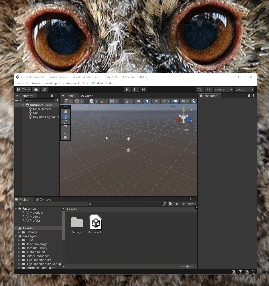 Unity High Definition Rendering Pipeline | by Thomas Mauro | Sep, 2022 ...