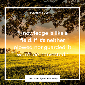 10 Fulani Wisdom Specially Curated For You | by Adama Diop | Medium