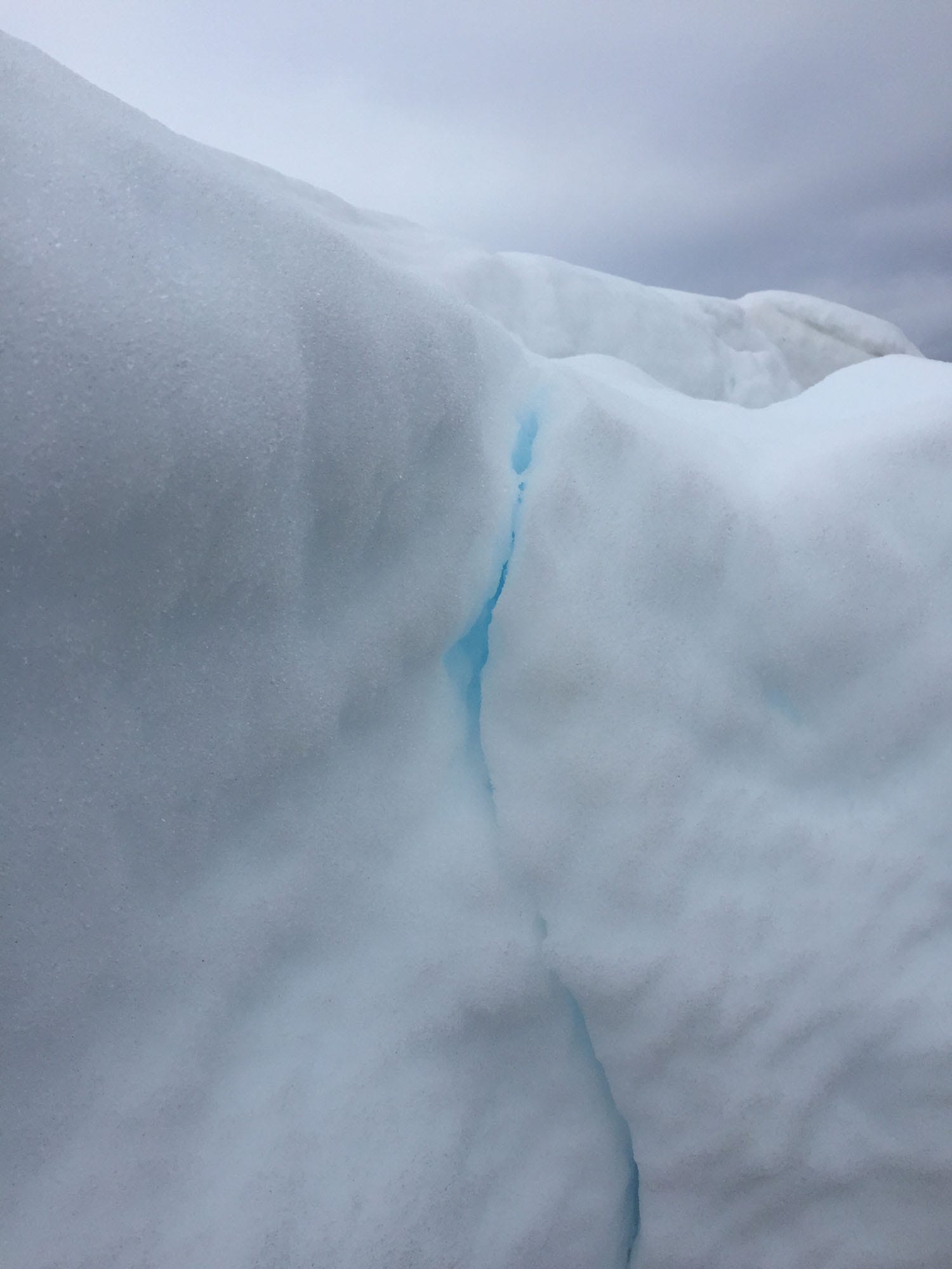 The Art of Arctic Elements through the Eyes of a Native Nevadan | by US ...