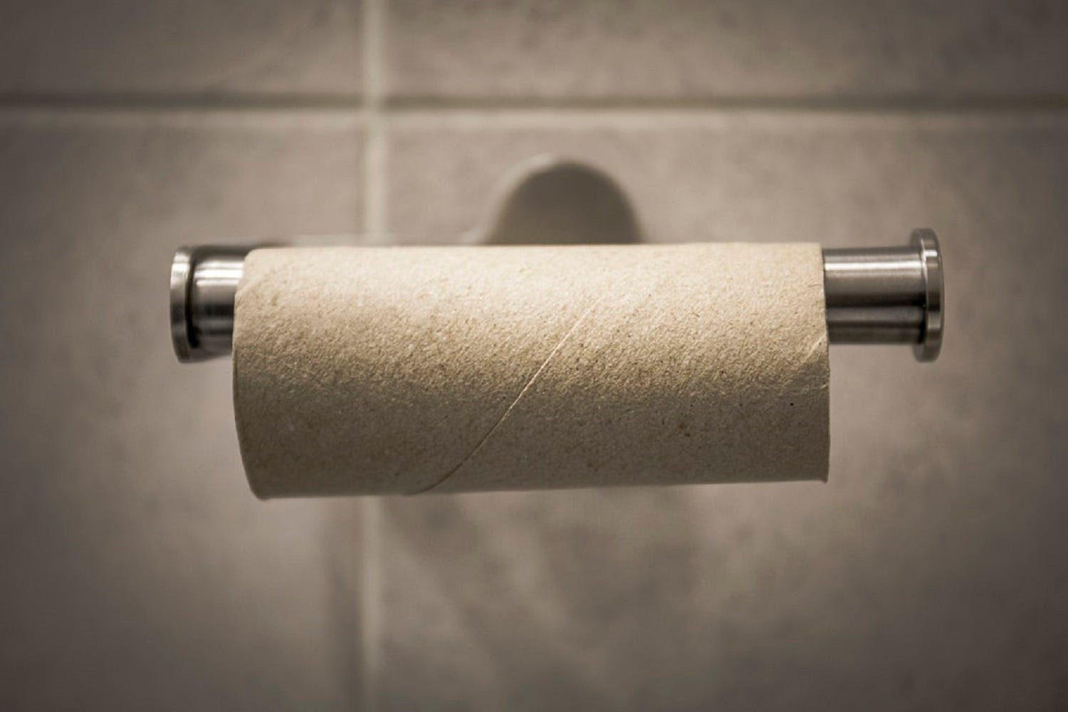 The Toilet Paper Caper: Chapter 2 | by Dan Leicht | Out of Ideas, Out ...