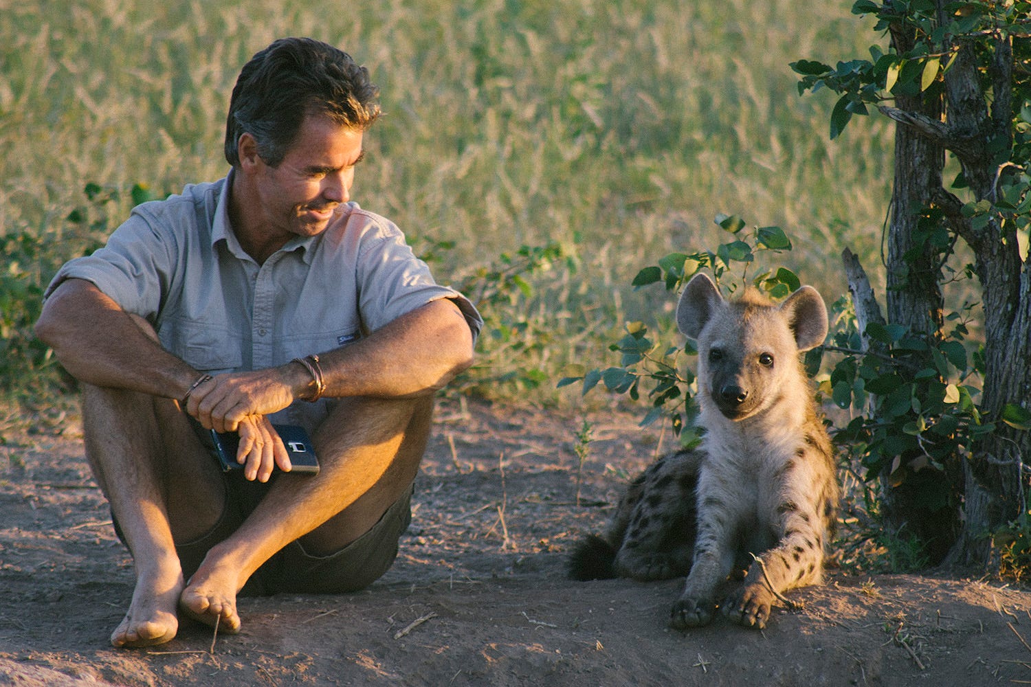 Interview: The Truth About Hyenas | by Wild Ark | WildArk Journal | Medium