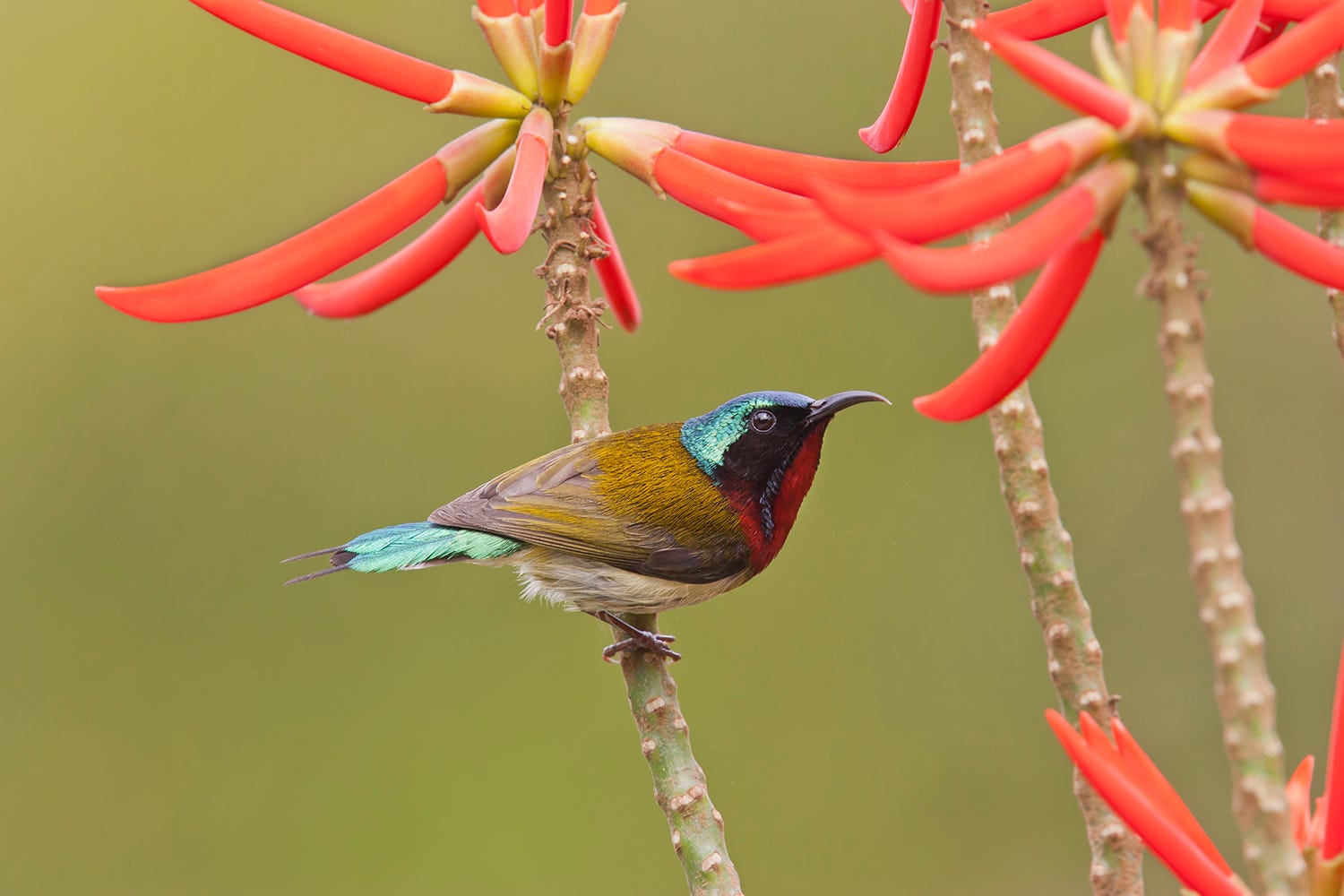 Tai Tam Country Park Biodiversity | by WWF HK | Panda blog @WWF-Hong ...