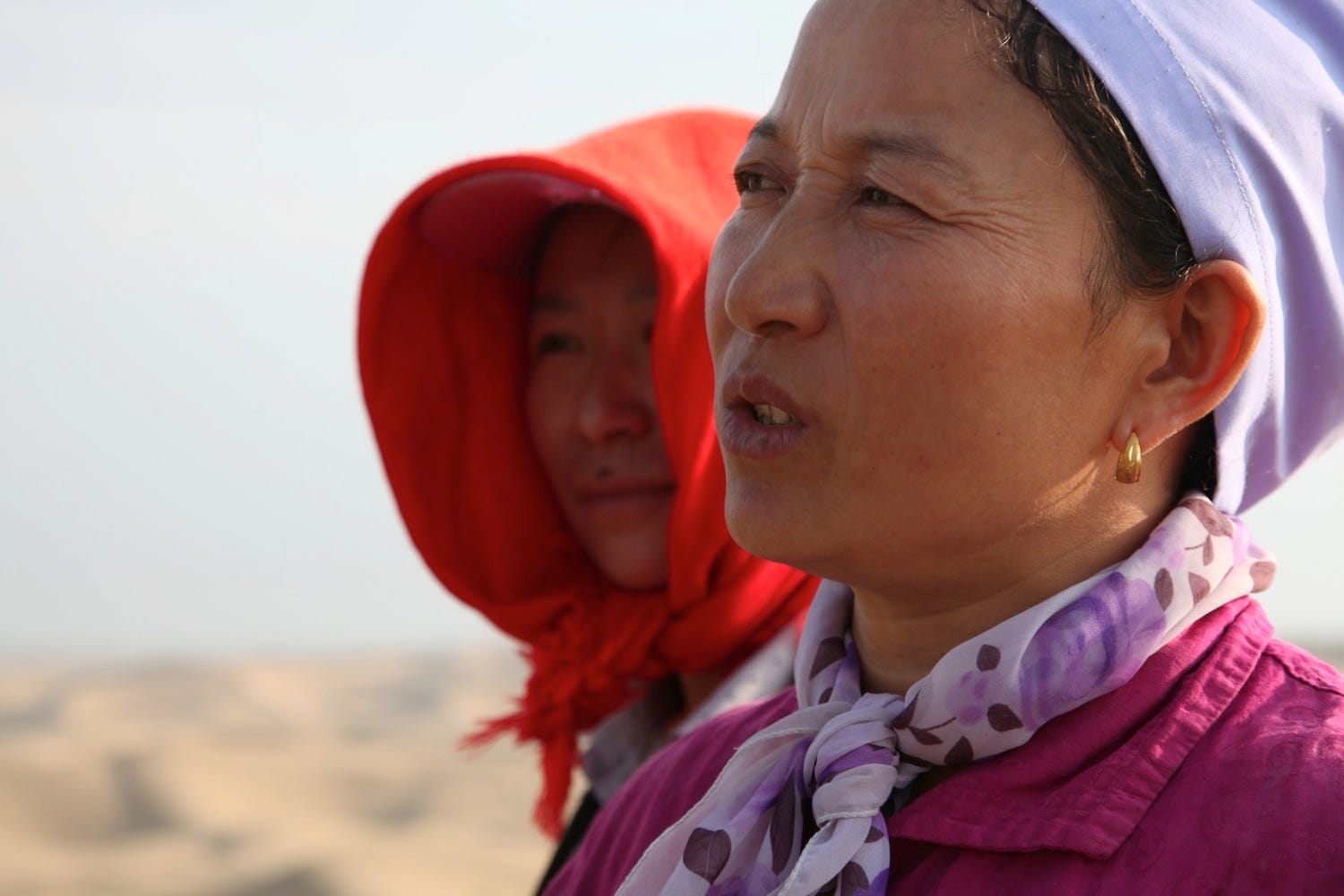 Hot Docs 2019 Interview: Shannon Walsh | by Siân Melton | MUFF Blog ...