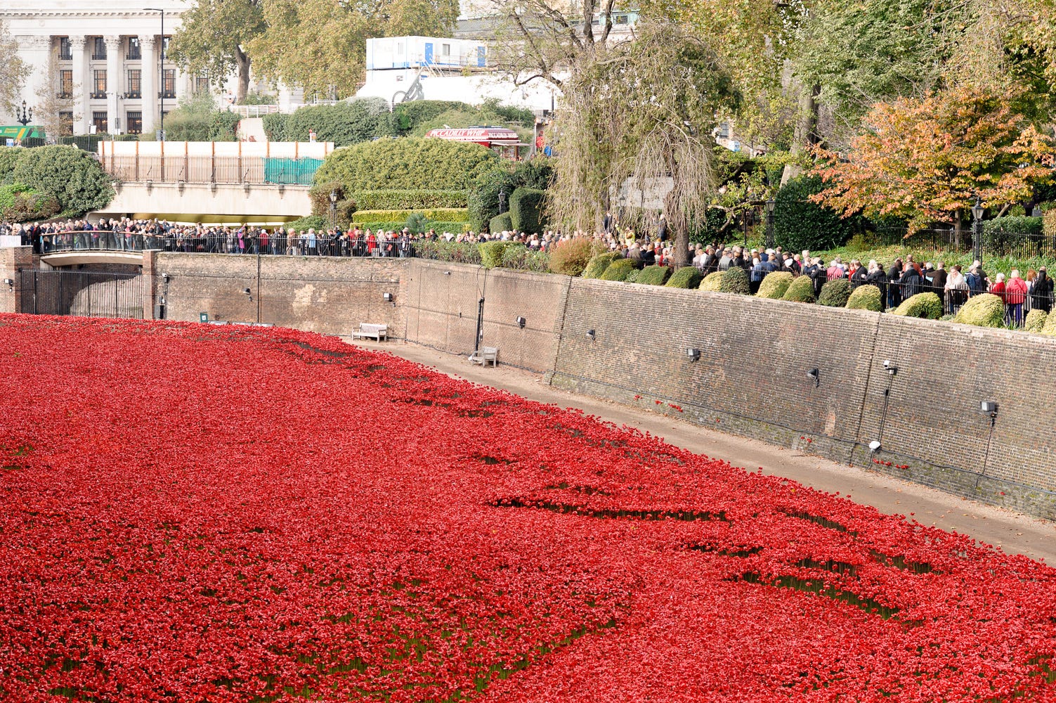 #91+: Tower Bridge and Poppy Field | by Carlo Müller | Medium