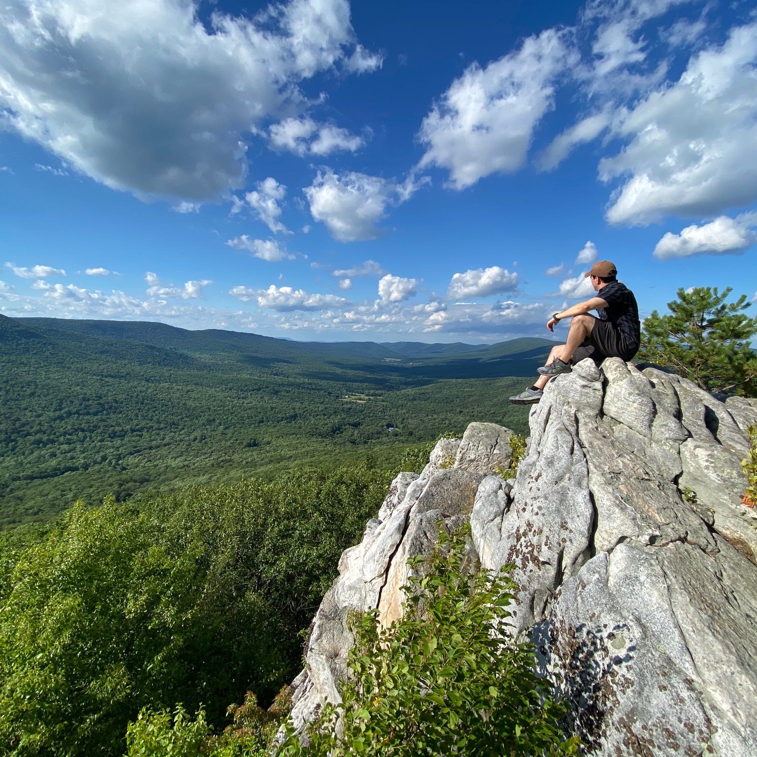 Wolf Gap Recreation Area. “Will has a keen ability to match… | by Will ...