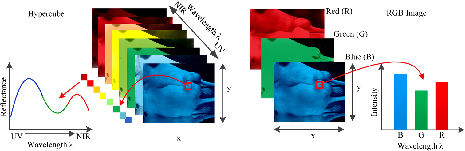 Hyperspectral Image Reconstruction from RGB Image | by Nikhil Gangwar | AI In Plain English | Medium