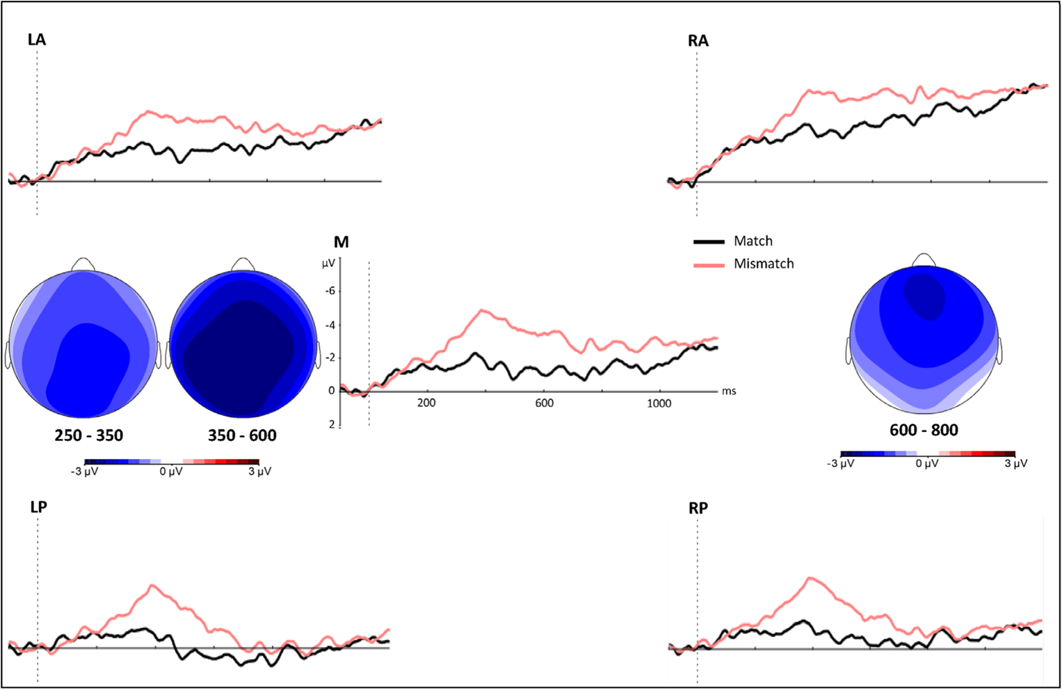 The combined use of VR and EEG : An effective tool to understand daily ...