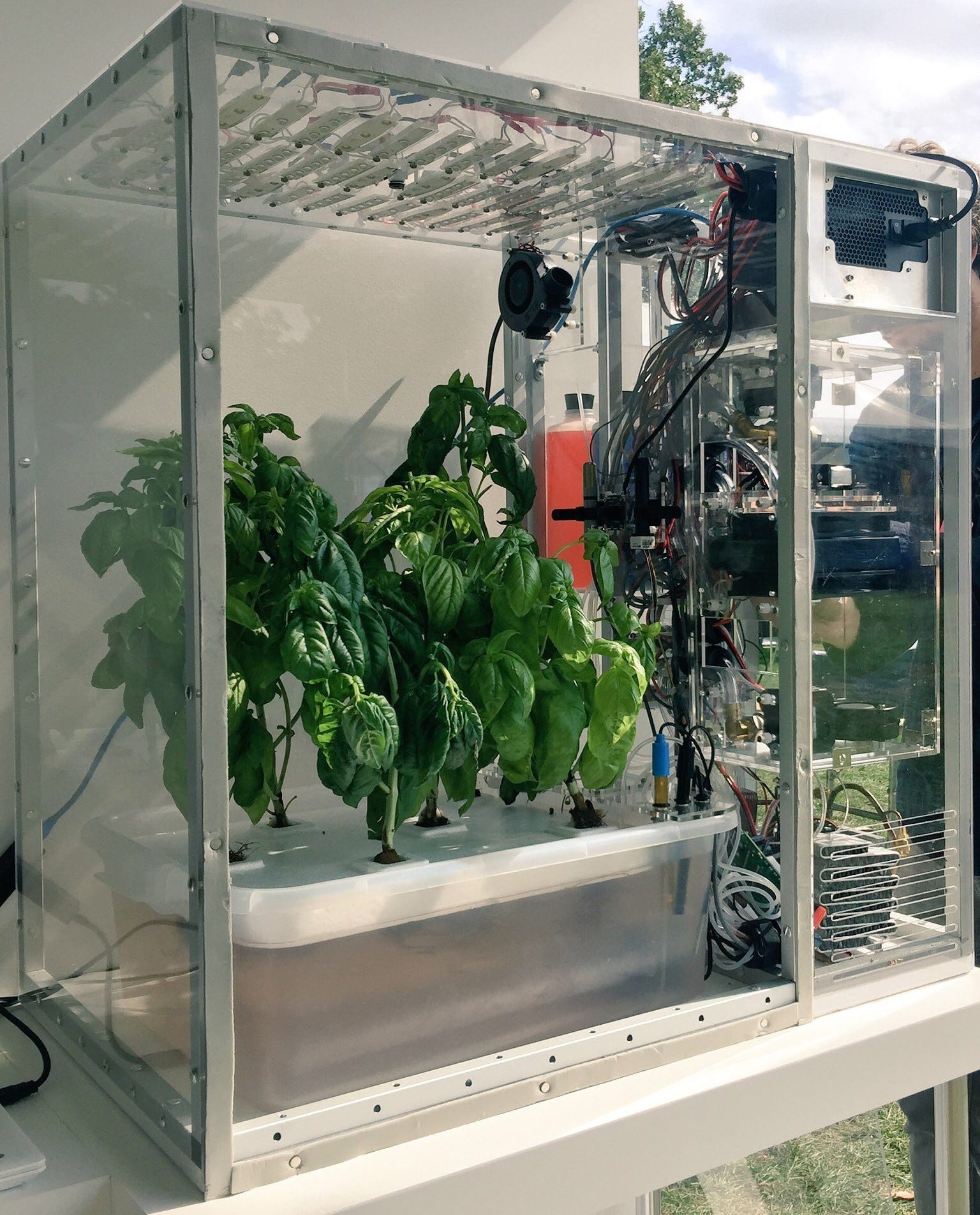 2016 Review of the Open Agriculture Initiative | by Caleb Harper | MIT ...